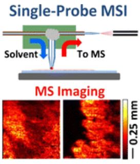 High Resolution Tissue Imaging Using the Single-probe Mass Spectrometry ...